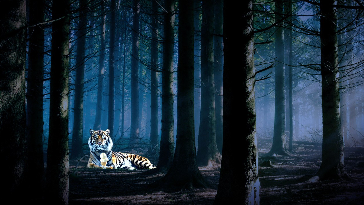 Tiger Ice Cream – SARAH PORWOLL